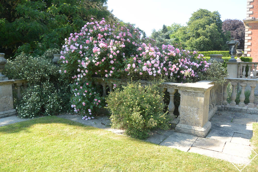 Yorkshire Garden Trip: Newby Hall - Red Dirt Ramblings®