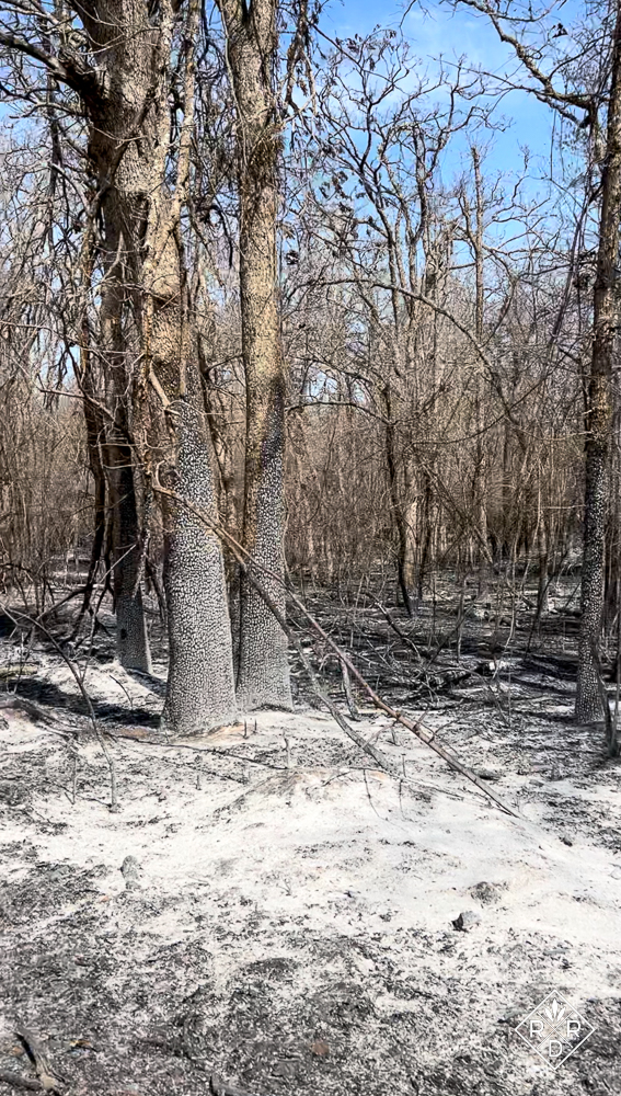 The Simpson wildfire - Red Dirt Ramblings®